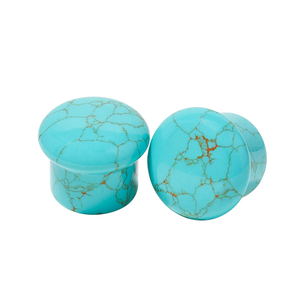 Turquoise Single Flare Plugs – Jimmy Buddha Designs
